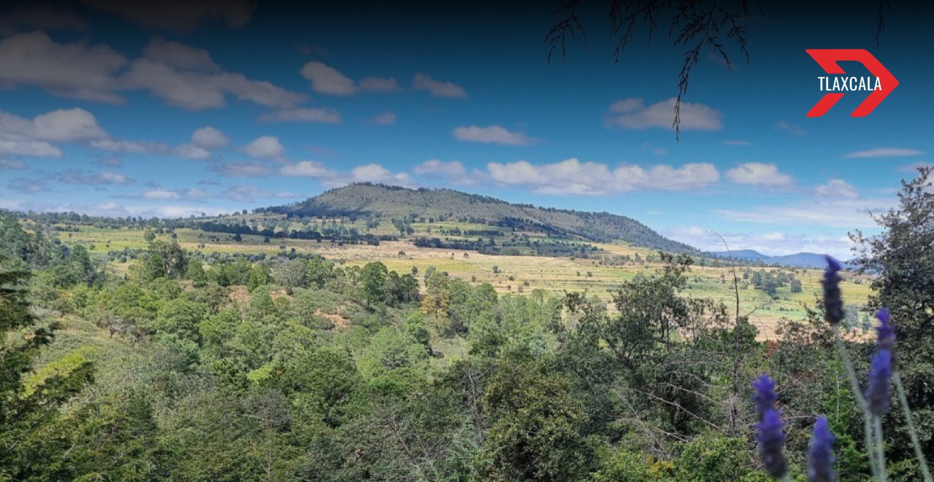 Día de los Bosques: Turismo regenerativo en Rancho Buenavista