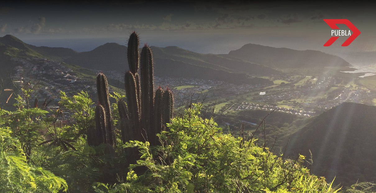 Dreamfields 2025 en Puebla: fechas, costos y boletos - Mundo Ejecutivo ...